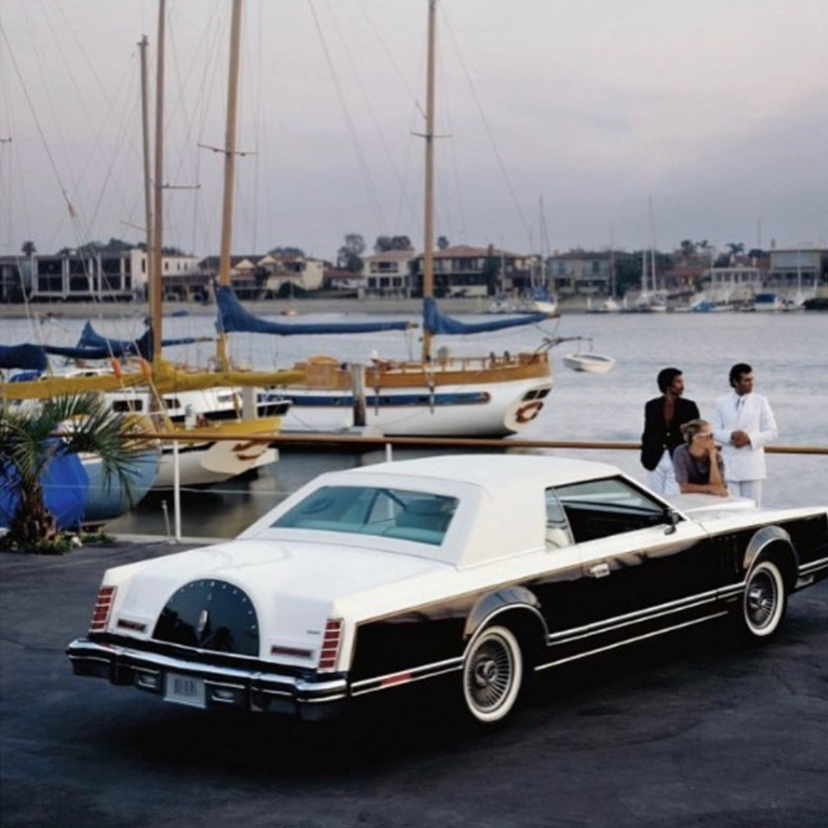 New Arrivals – TROPHY HUNTING®